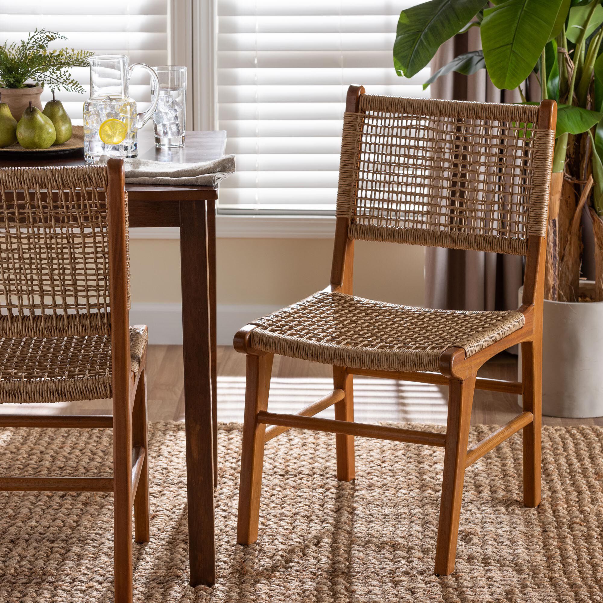Ariba Viro Fiber Dining Chair | Catherines