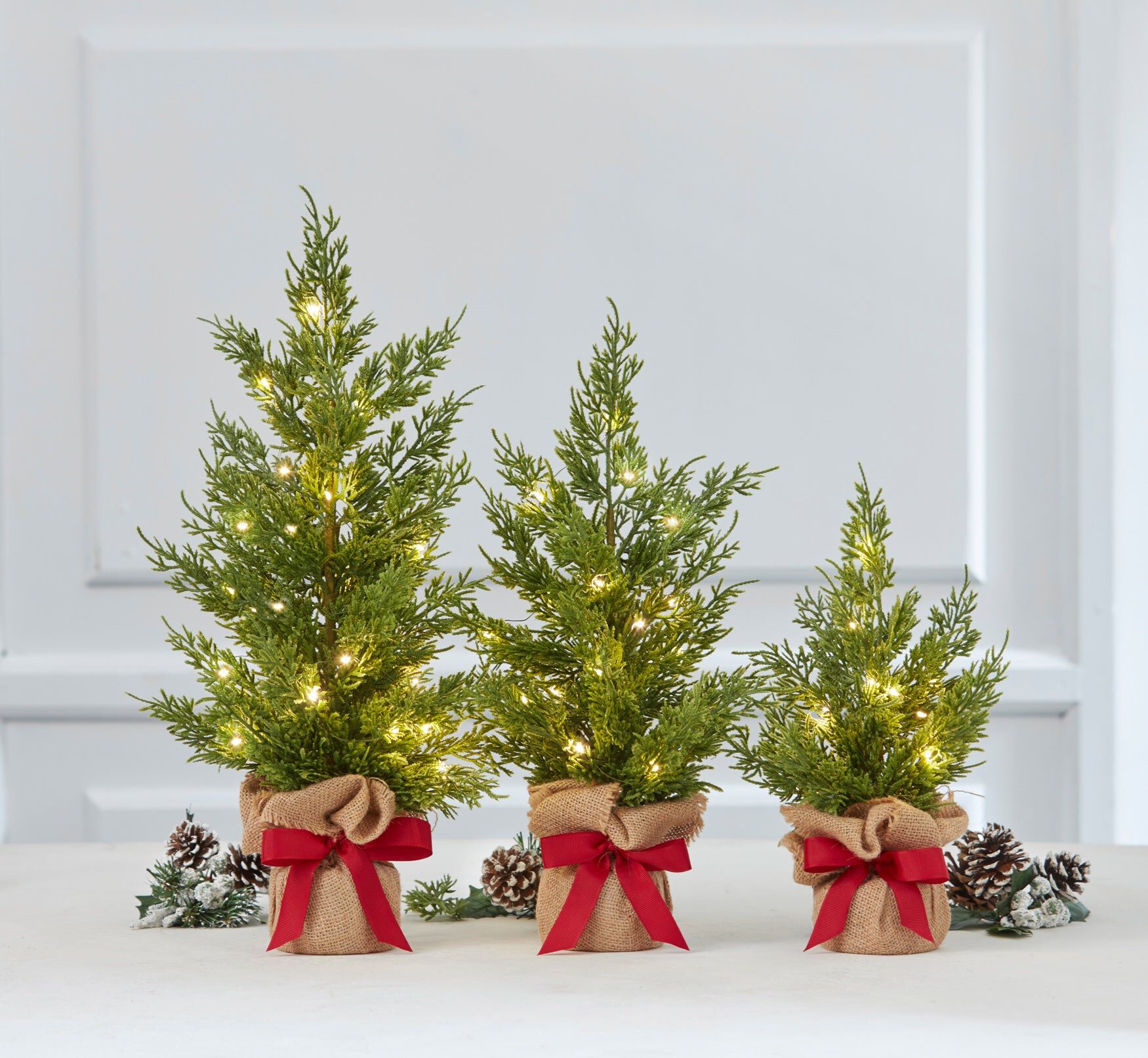 Pre-Lit Tabletop Trees, Set of 3 | Catherines